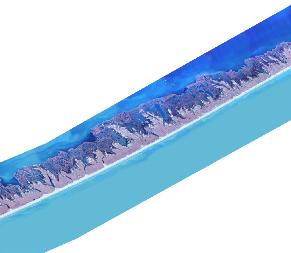 September - November 2004 | Upper Coast | Matagorda Peninsula to ...